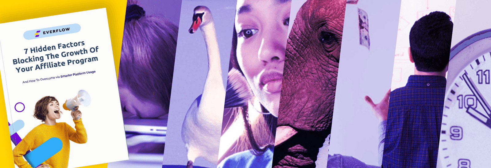 Everflow - Partner Marketing Platform